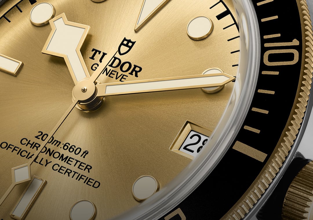 Discover the iconic TUDOR Black Bay watches | TUDOR Watch