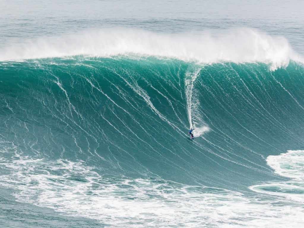 Welcome to the world of TUDOR | TUDOR Mag